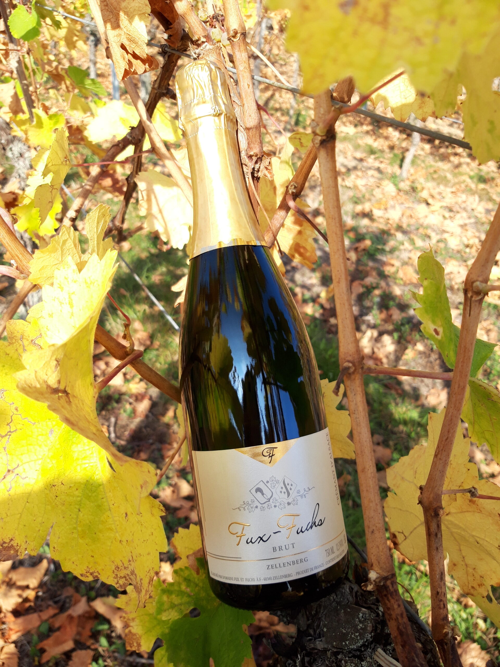 Crémants d’Alsace - Domaine Fux et Fuchs